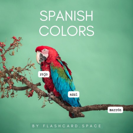 Cover of the 'Spanish: Colors' flashcard deck