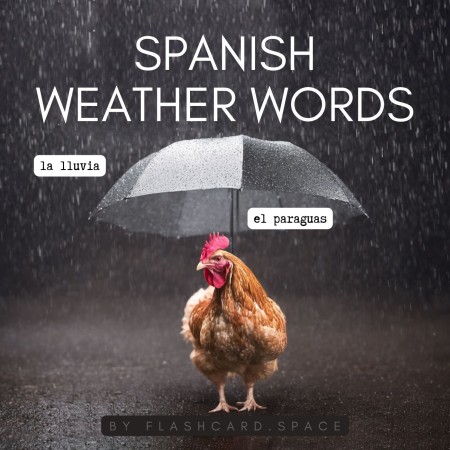 Cover of the 'Spanish: Weather Words' flashcard deck